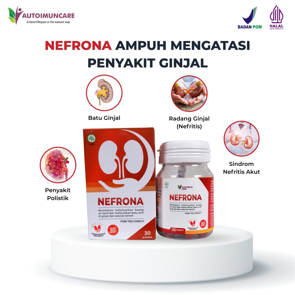 Sakit Ginjal Tak Kunjung Sembuh? Obat Herbal NEFRONA Solusinya